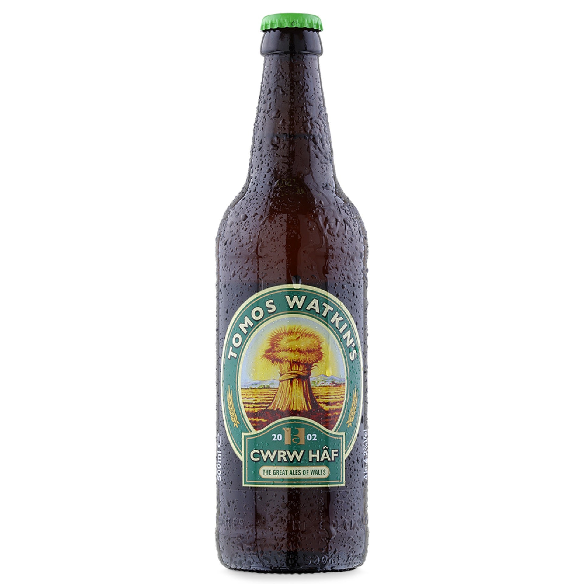 Tomos Watkins Cwrw Haf 4.2 | CWRW